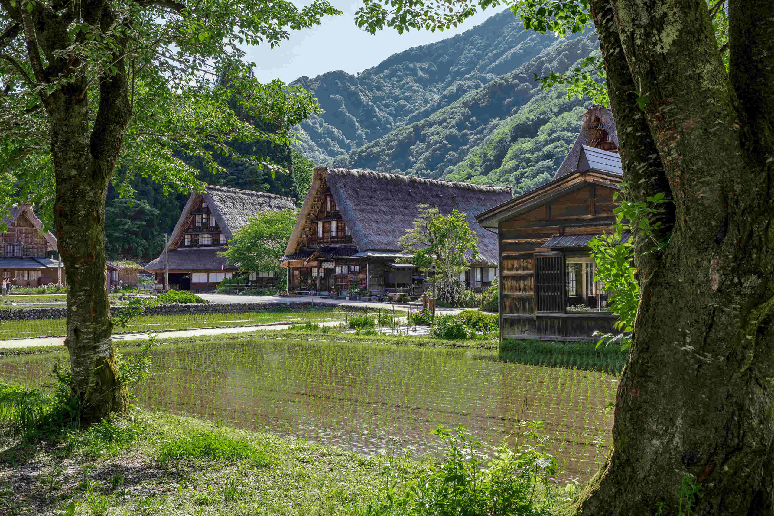 Rediscover Japan from a Historic Gassho Home in World Heritage Site ...